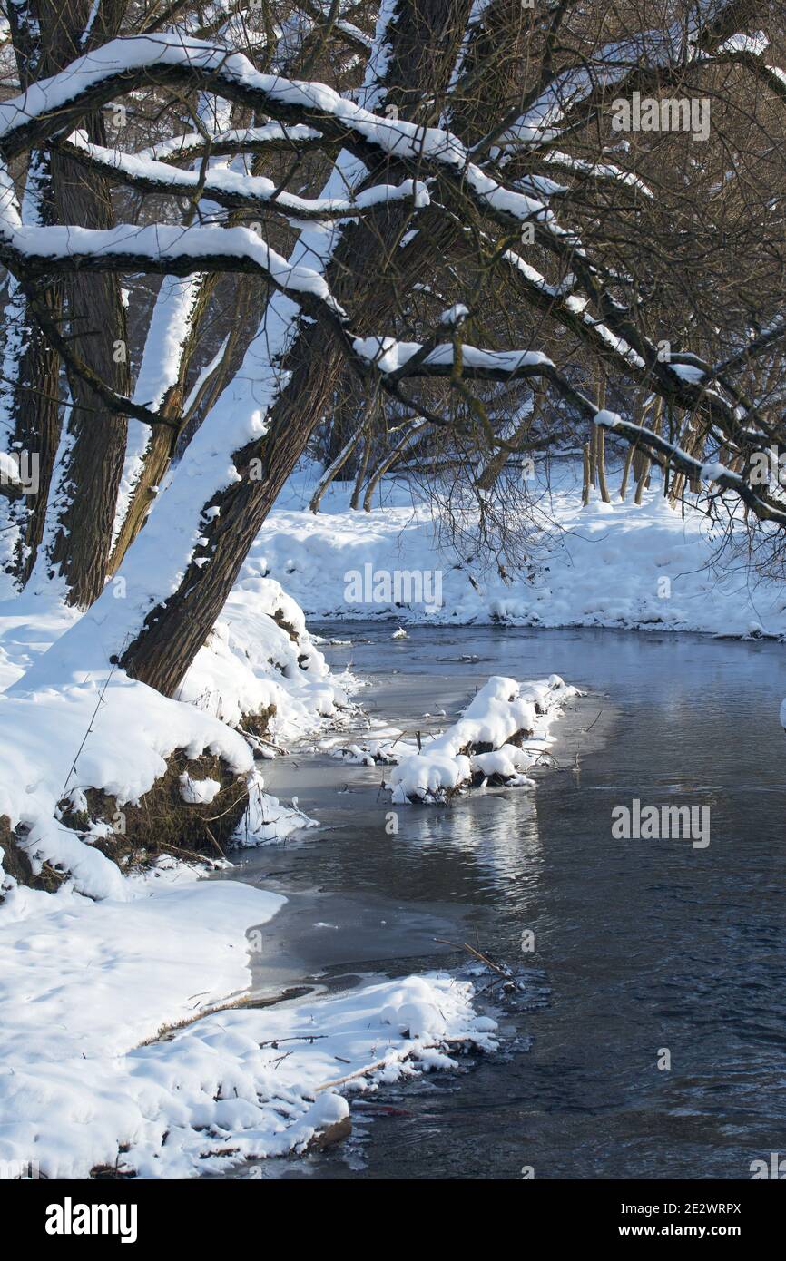 Winter landscape. Winding river in a winter park. Trees are growing ...