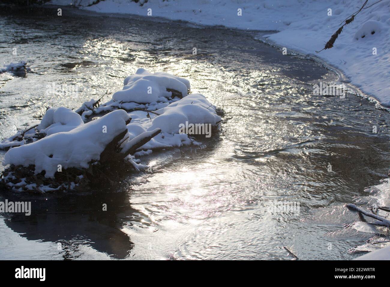 Winter landscape. Winding river in a winter park. Trees are growing ...
