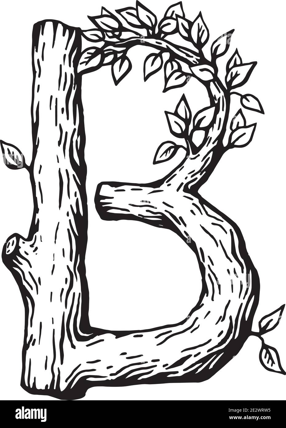 Black engraving Letter B made of wood with leaves on the white ...