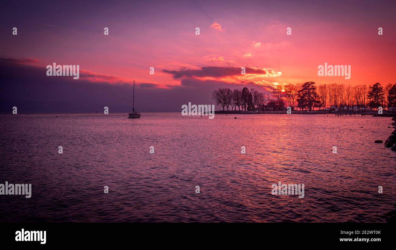 Geneva lake trees in switzerland hi-res stock photography and images ...