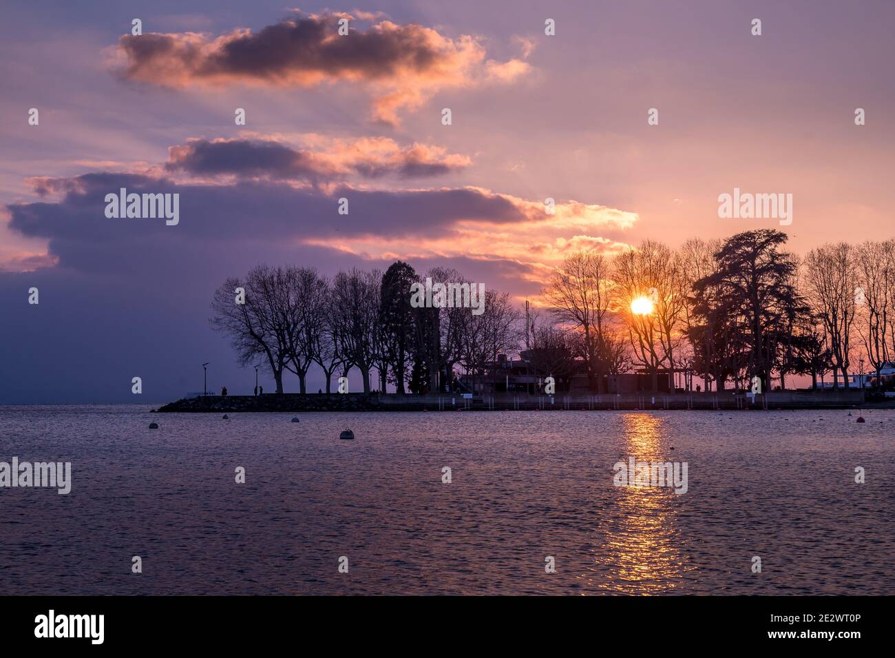 Geneva lake trees in switzerland hi-res stock photography and images ...