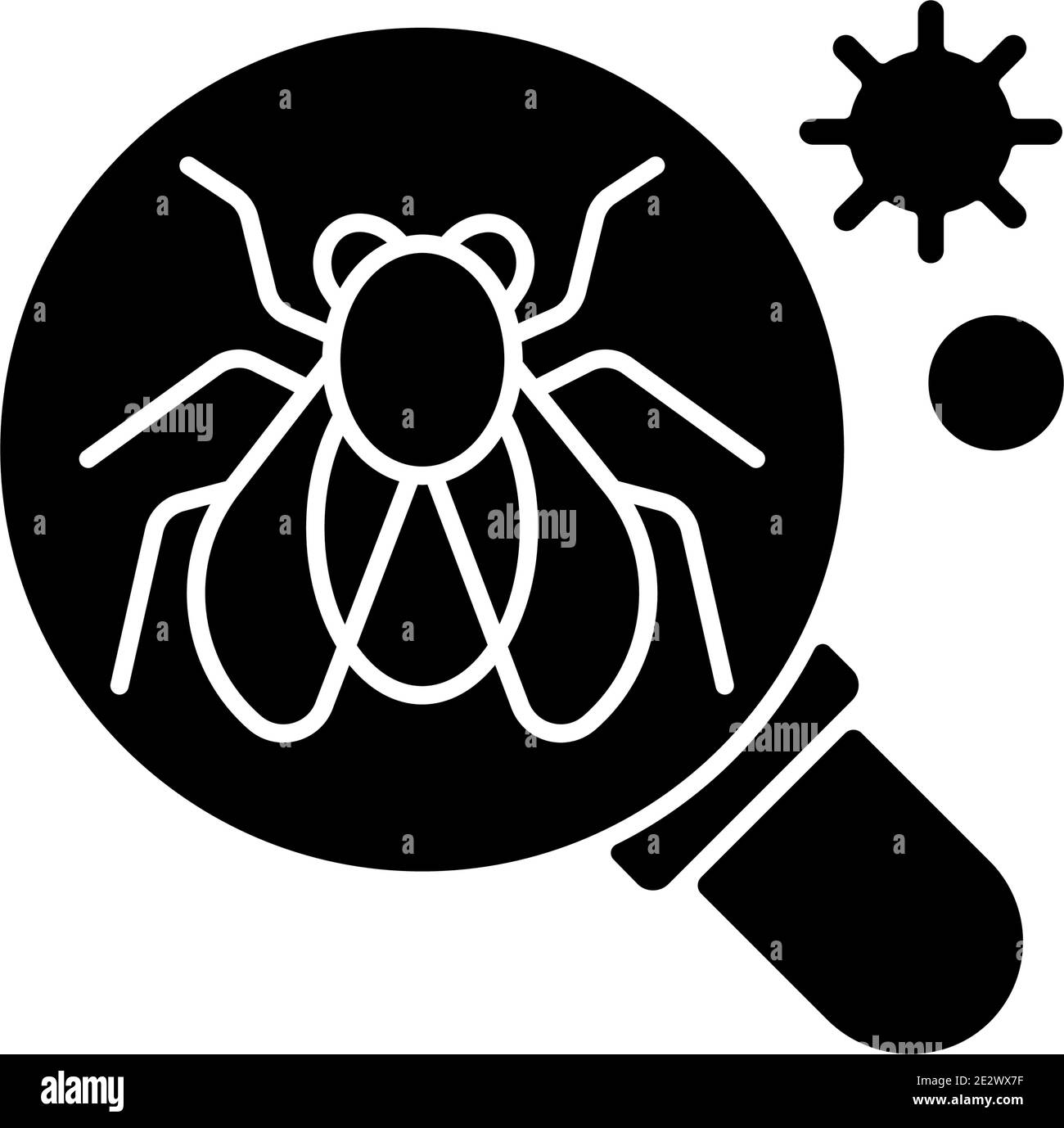 Insect model organism hi-res stock photography and images - Alamy