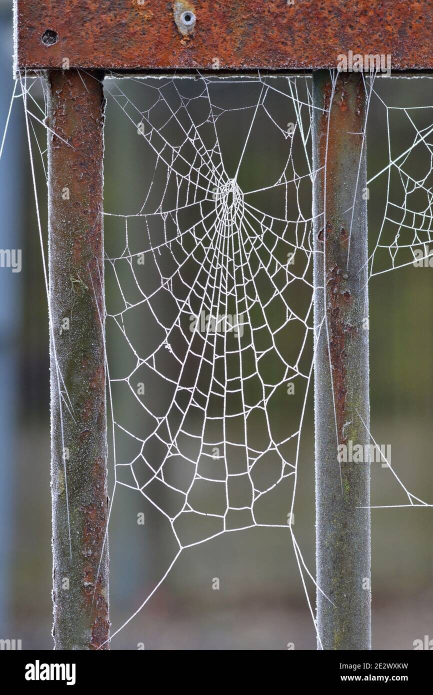 Cobweb bridge hi-res stock photography and images - Alamy
