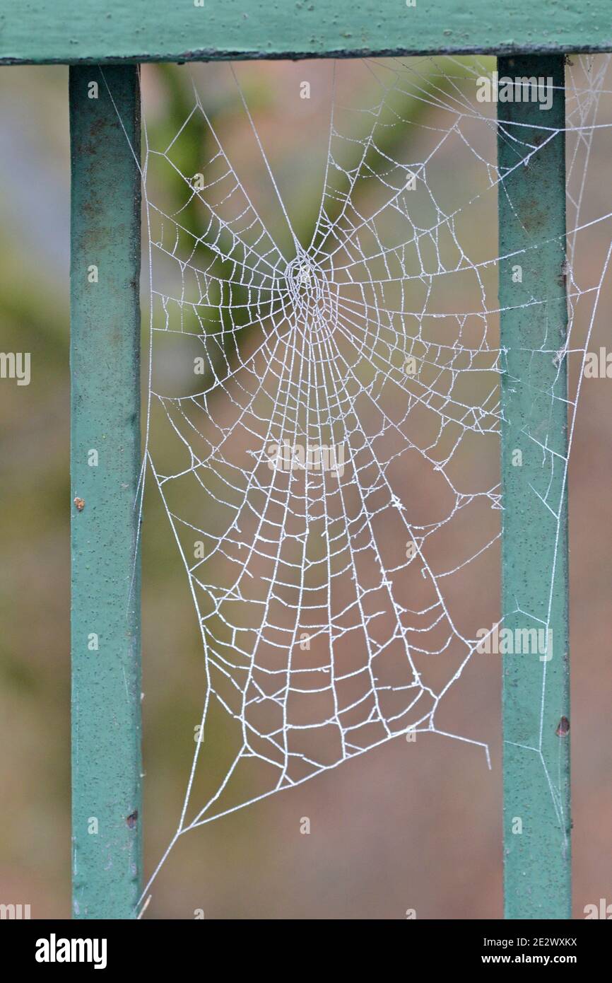 Cobweb bridge hi-res stock photography and images - Alamy