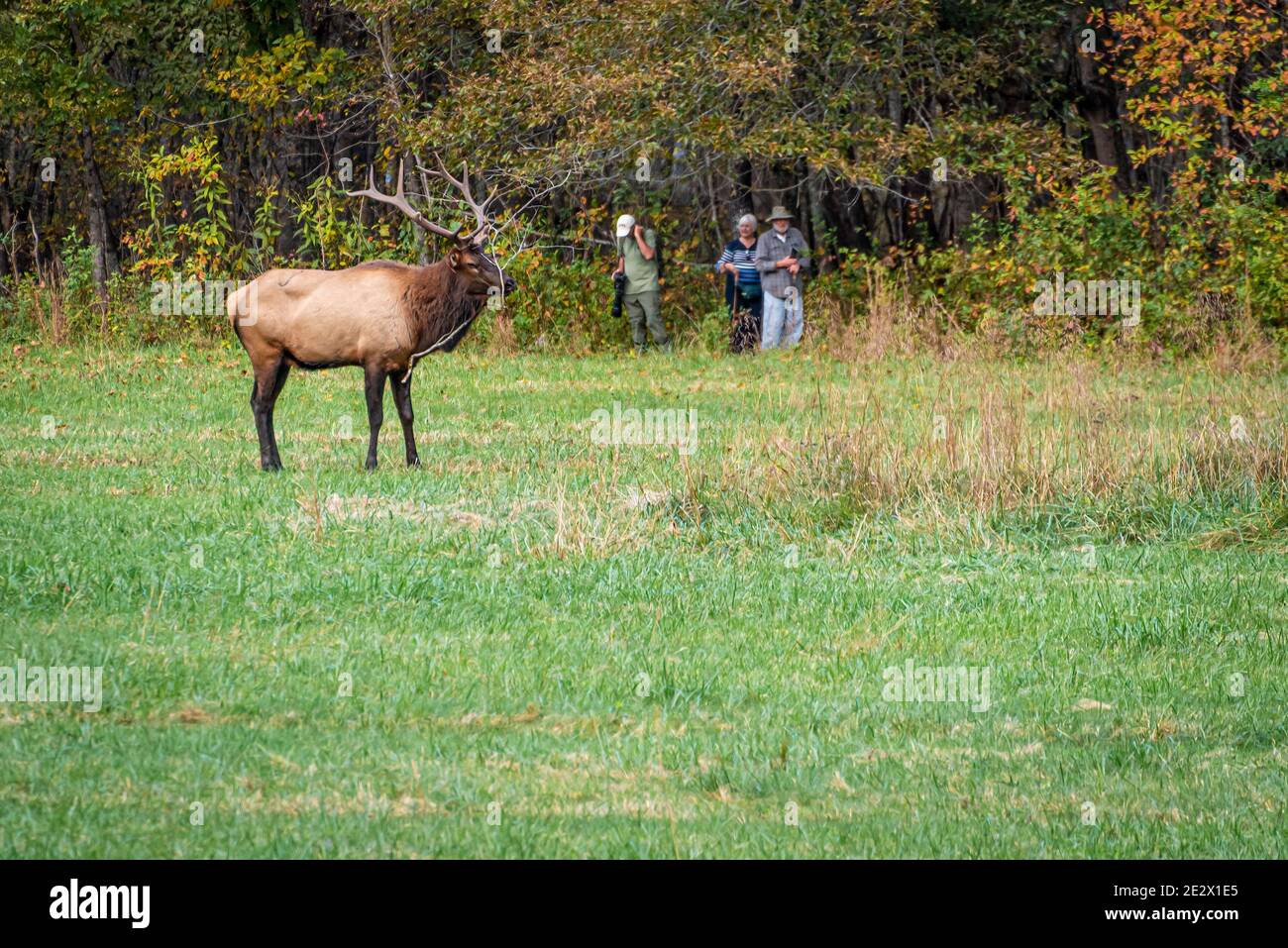 Cherokee people great smoky mountains hi-res stock photography and ...