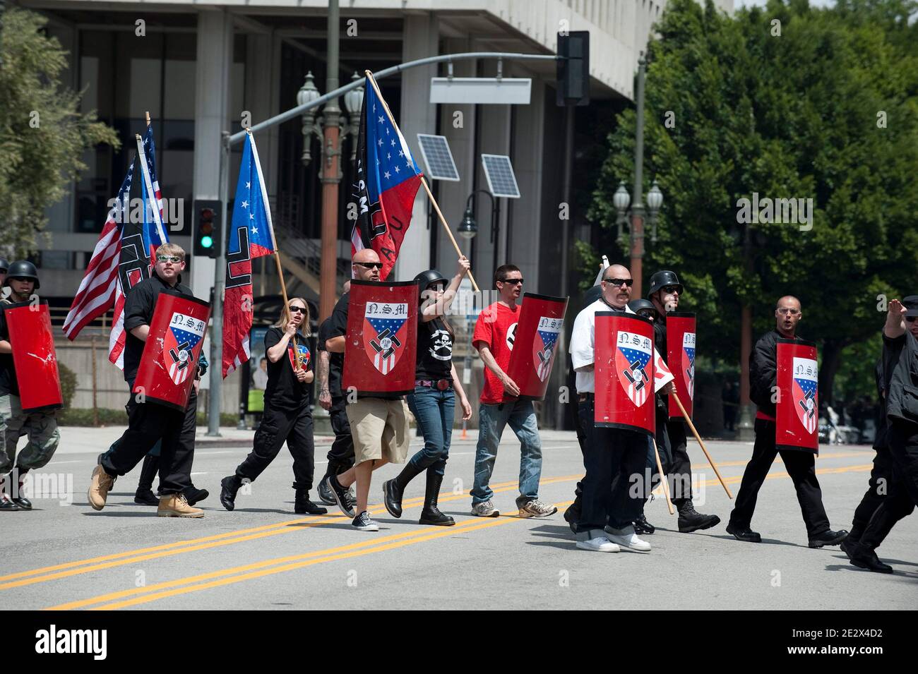 National Socialist Movement Flag