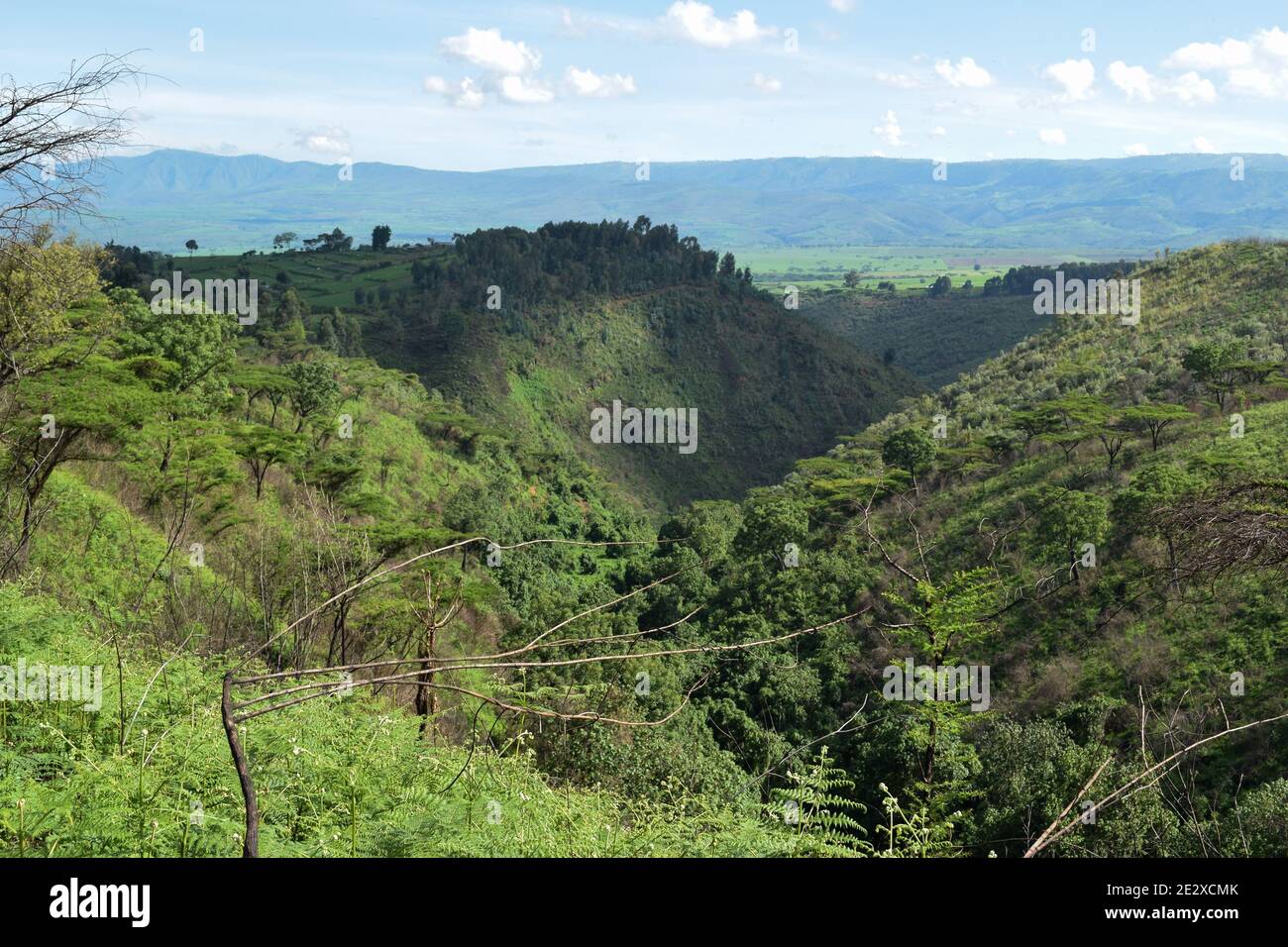 Scenic mountain landscapes in Aberdare Ranges, Kenya Stock Photo - Alamy