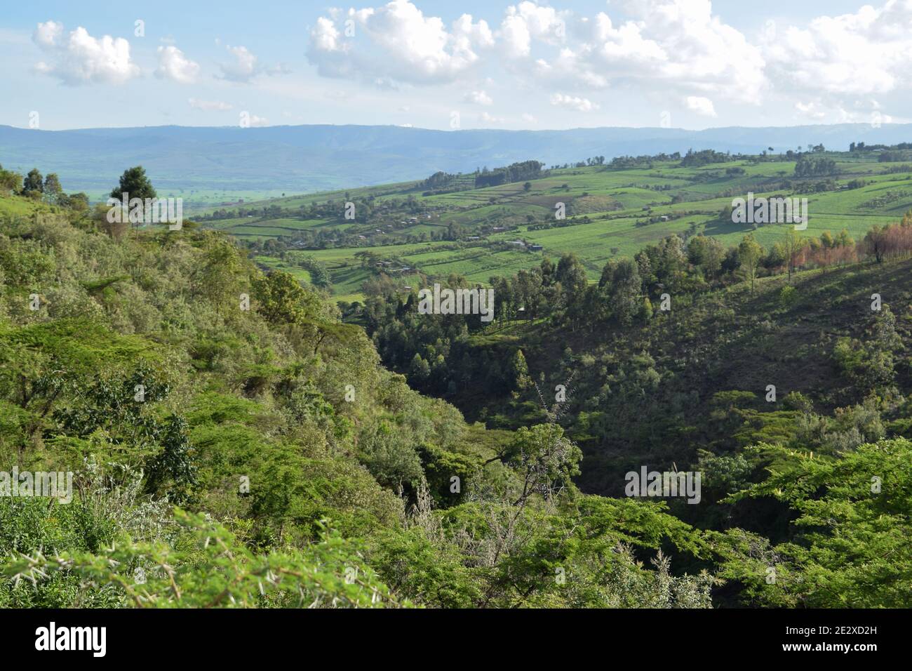 Scenic mountain landscapes in Aberdare Ranges, Kenya Stock Photo - Alamy