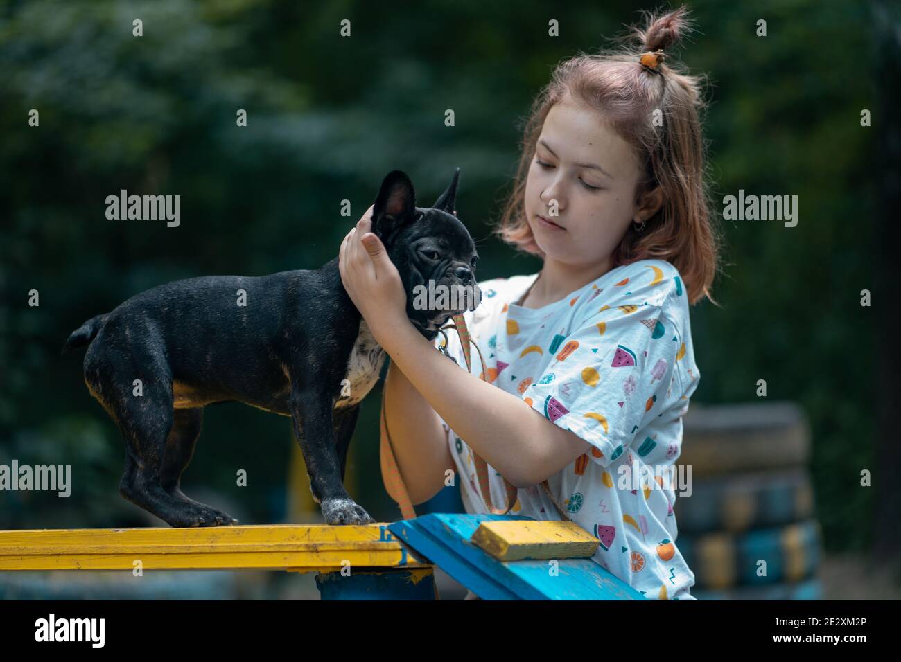 kid play and train french bulldog or puppy at playground at park in ...