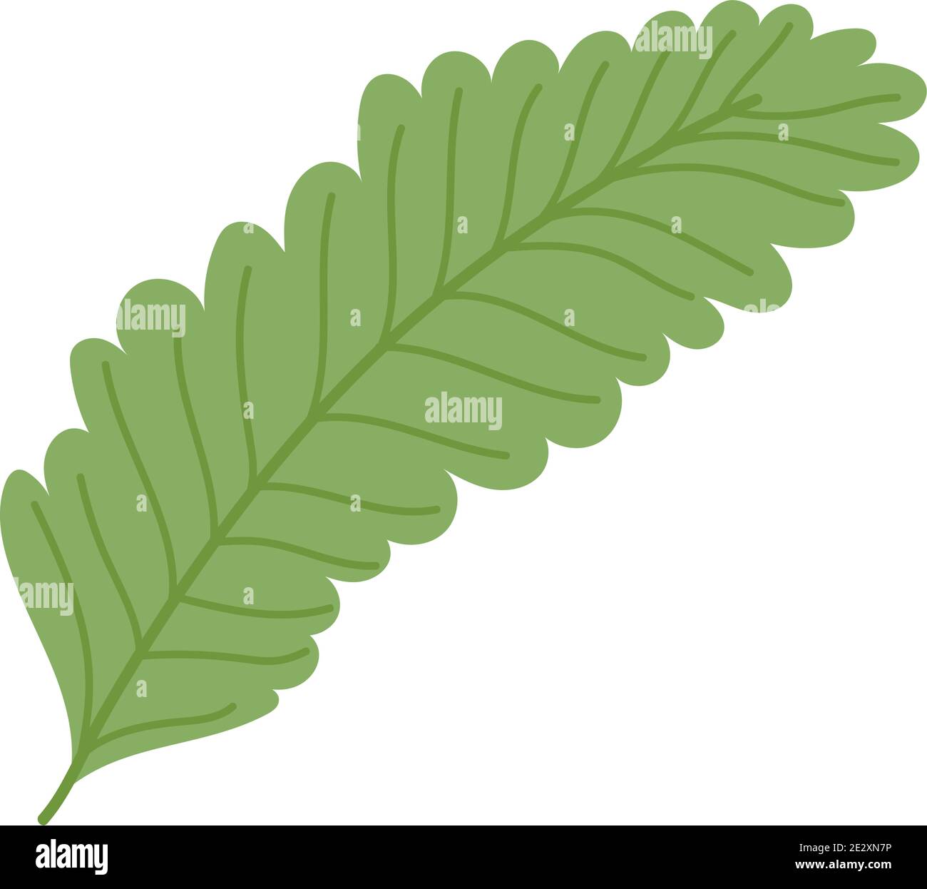 leaf nature cartoon icon in isolated style vector illustration Stock ...
