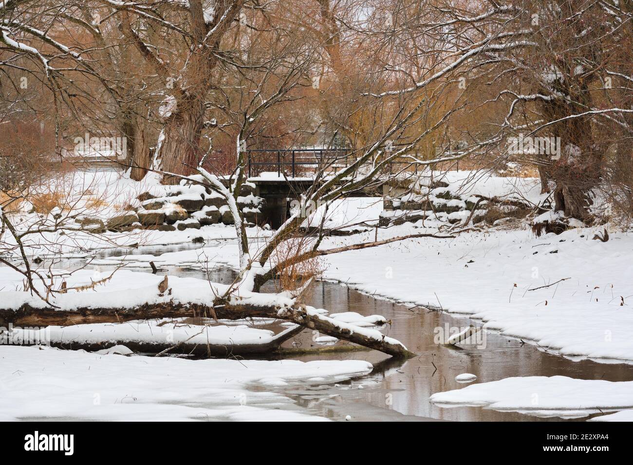 Winter park scene of a creek through snowy land with trees leading to a ...