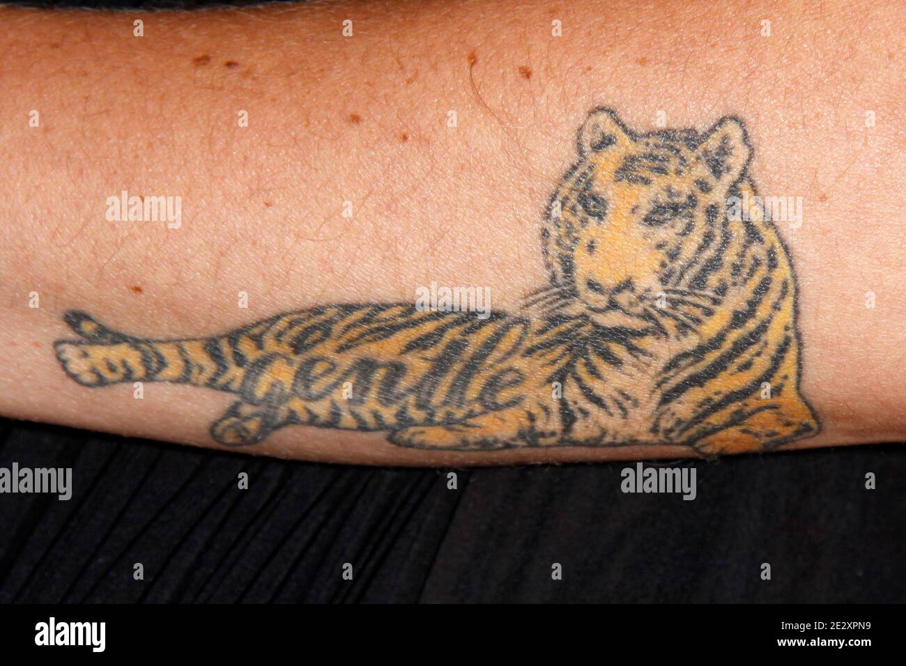 Alanis Morissette arriving for Prince of Persia: The Sands of Time ...