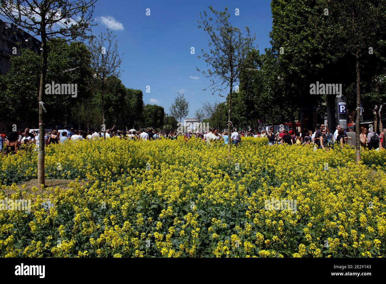 A general view of The Champs-Elysees avenue, after it was turned into a ...