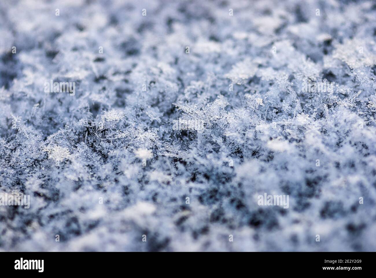 snowflakes close up, full-frame snow texture Stock Photo - Alamy
