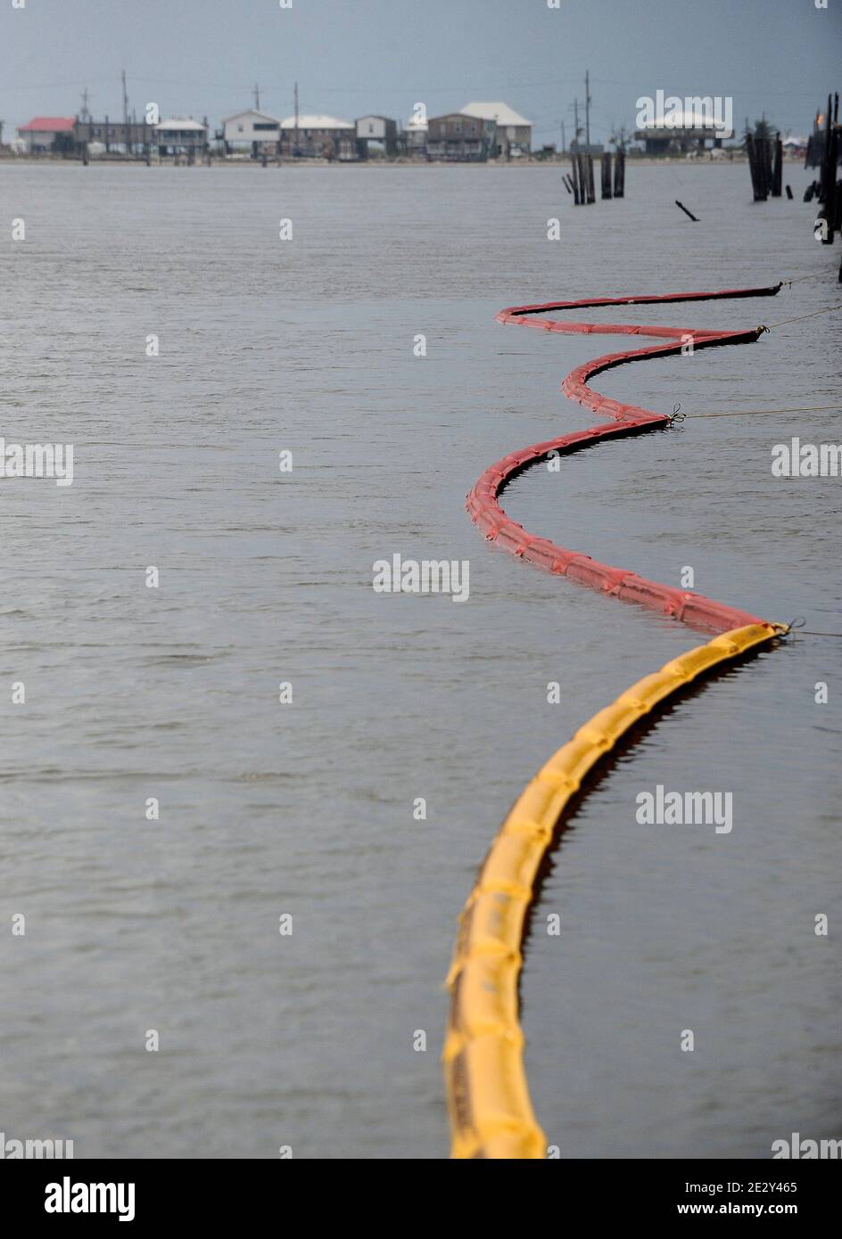 Snakes of louisiana hi-res stock photography and images - Alamy