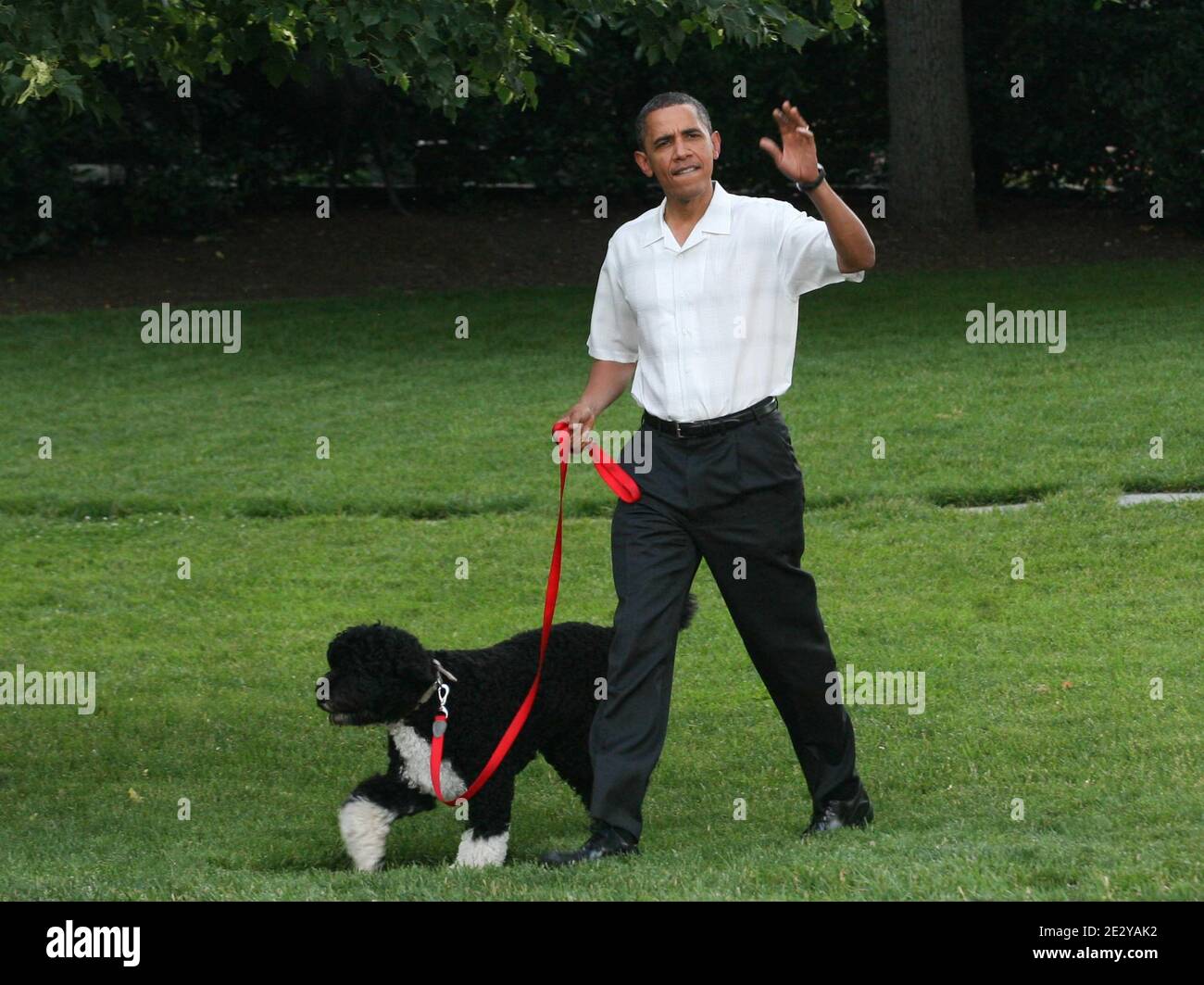 Chiens de la maison blanche hi-res stock photography and images - Alamy