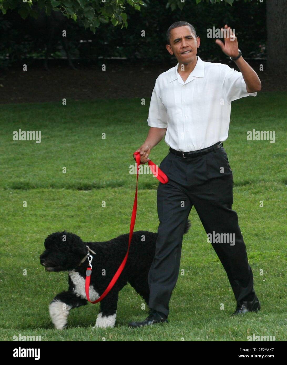 Chiens de la maison blanche hi-res stock photography and images - Alamy