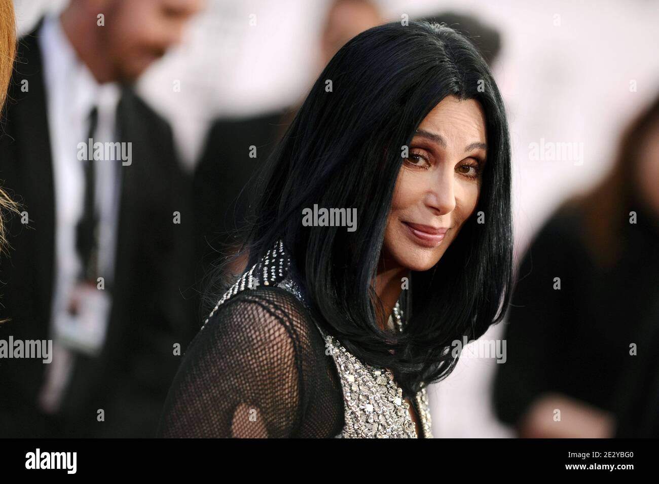 Cher attends the 38th AFI Life Achievement Award Honoring Mike Nichols ...
