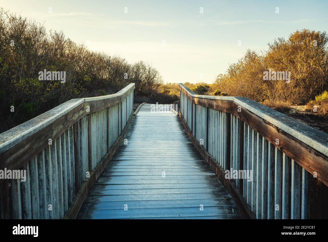 Wooden boardwalk. Hiking through natural habitats for viewing flora and ...