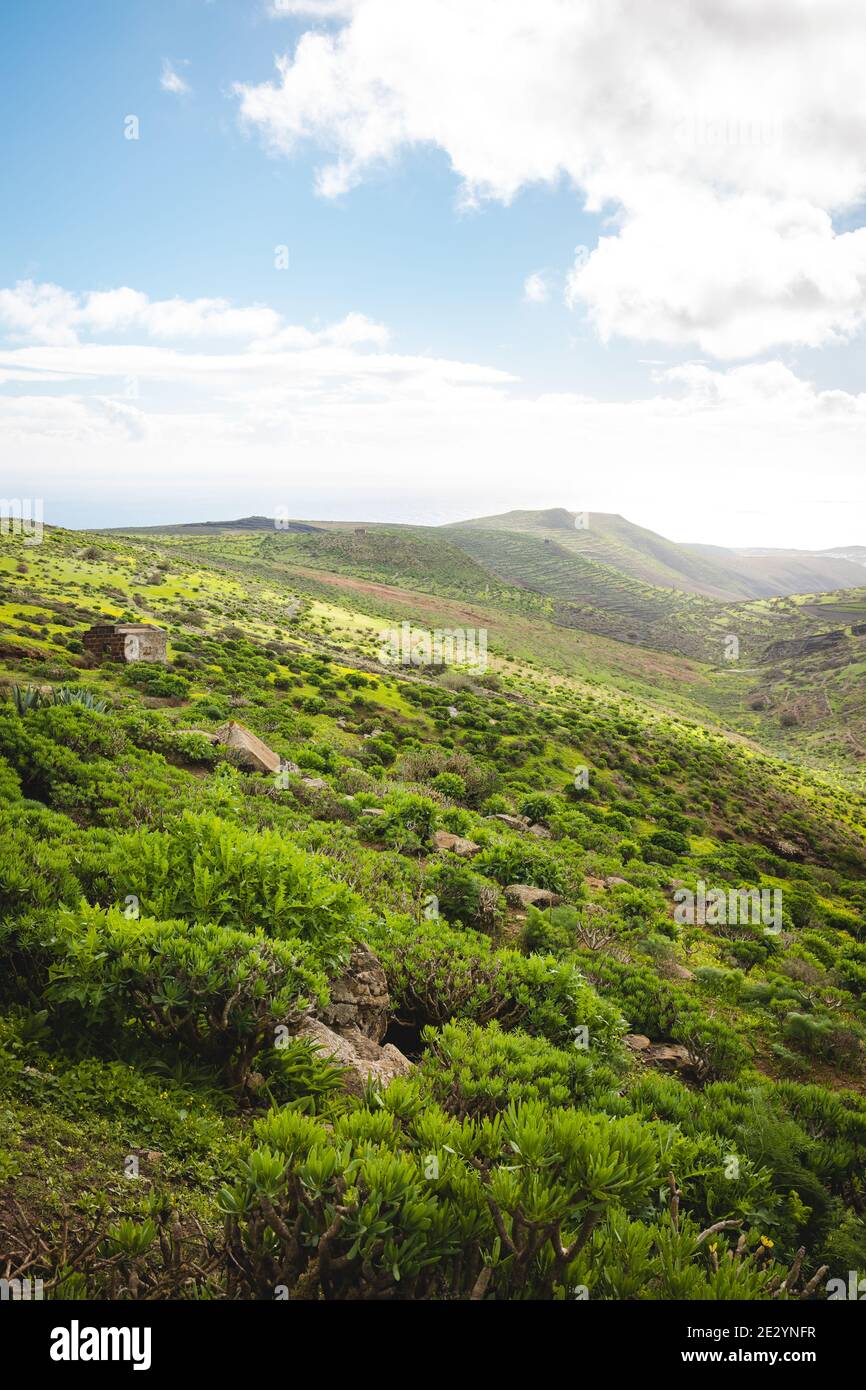 Vertical shot of a beautiful hilly terrain covered with green ...