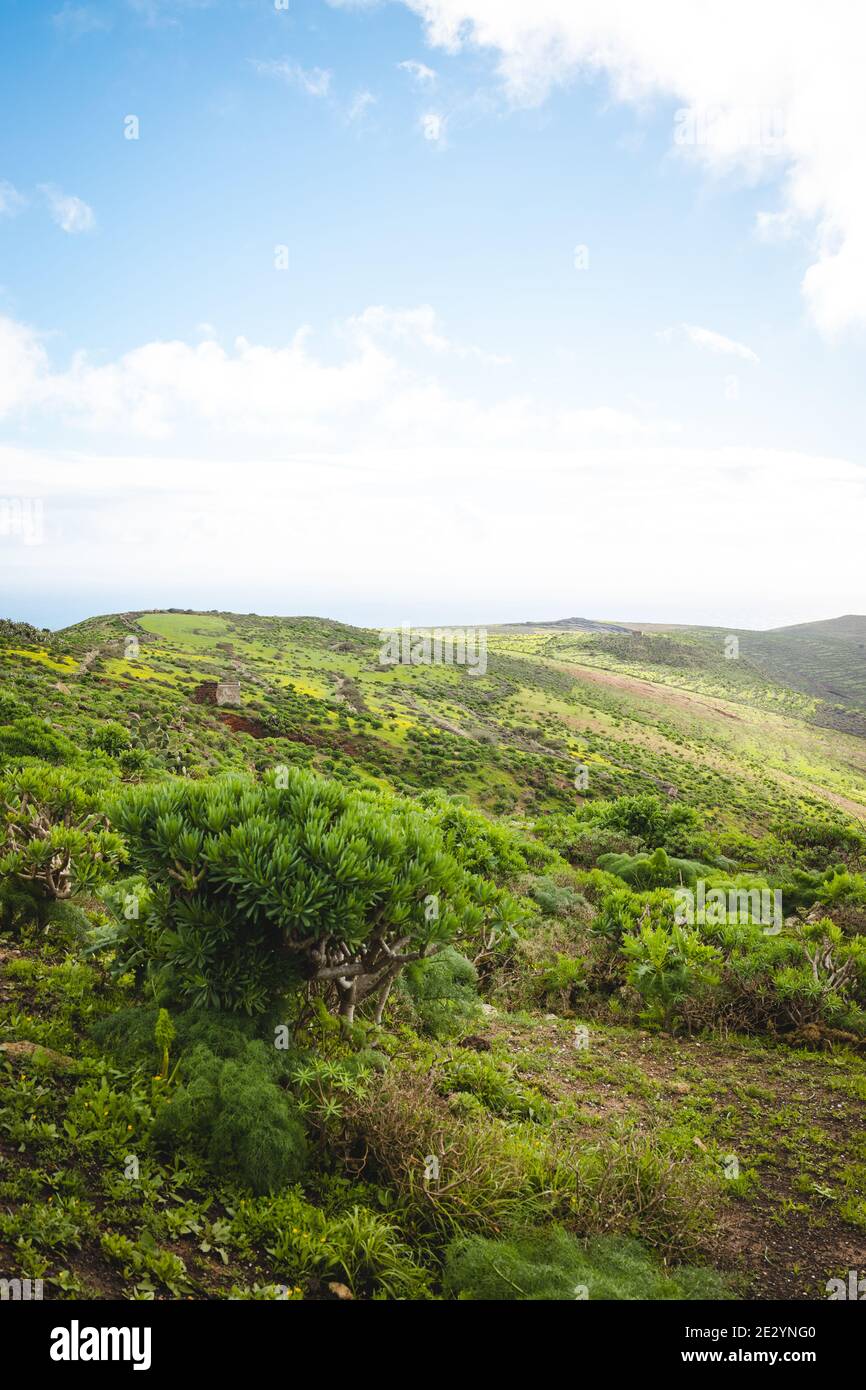Closeup of hilly terrain with green grass and bushes in the cloudy sky ...