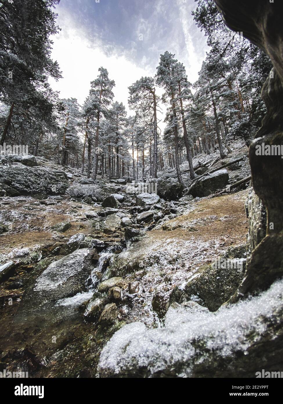 Low angle shot of a rocky forest landscape partially covered with snow ...