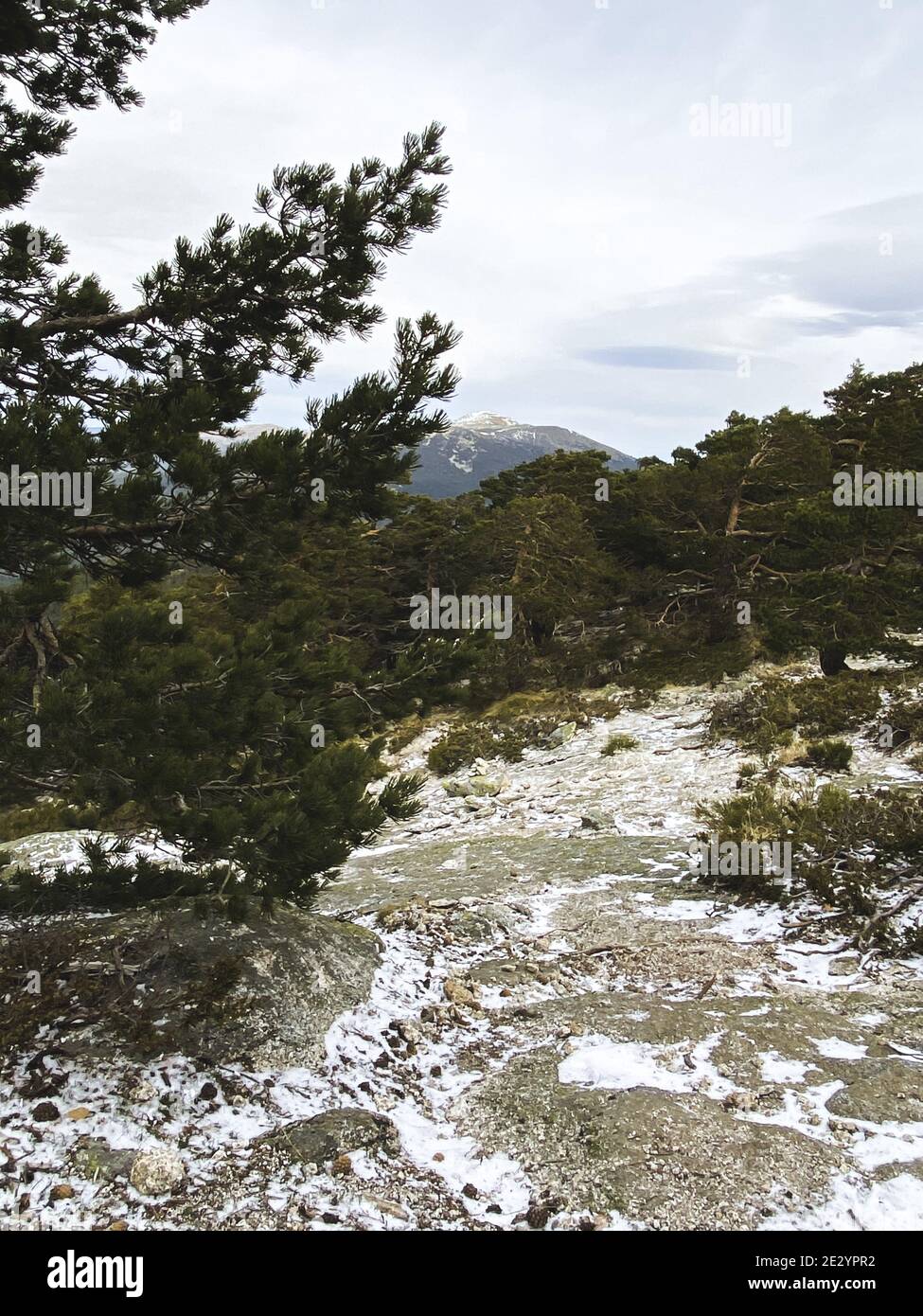 Vertical shot partially snow hi-res stock photography and images - Alamy