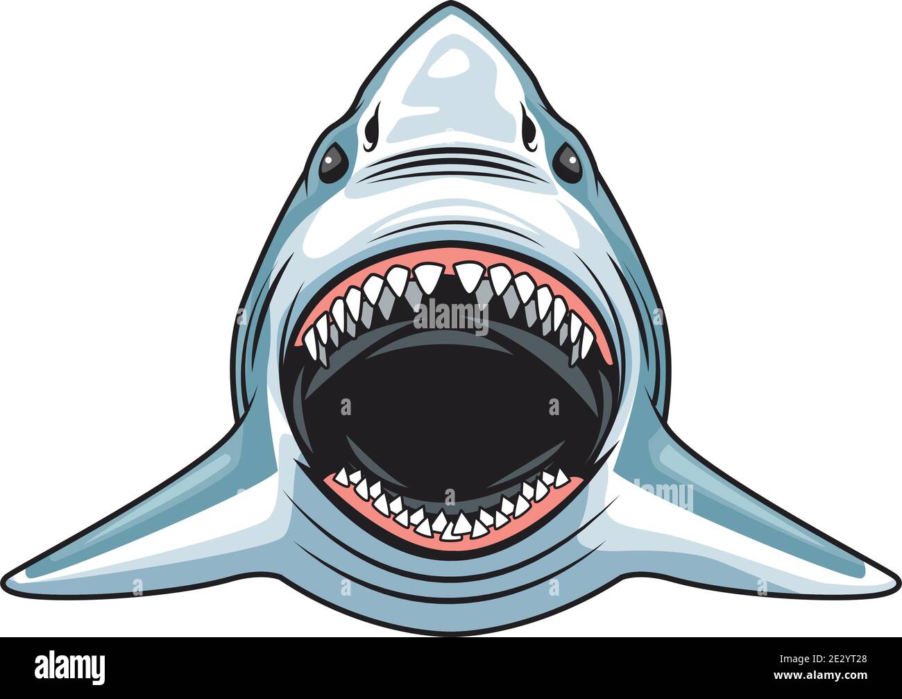 How To Draw A Shark Head Easy