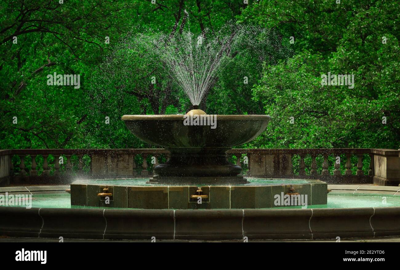 Beautiful fountain surrounded by trees captured in a big park Stock ...