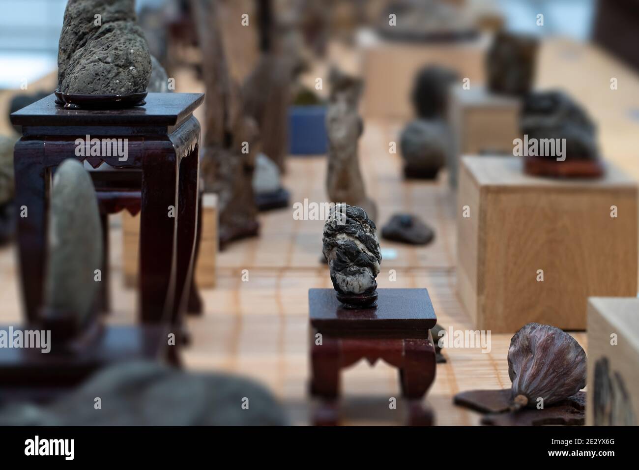 Natural stone of unusual shape. A decorative element in the interior ...