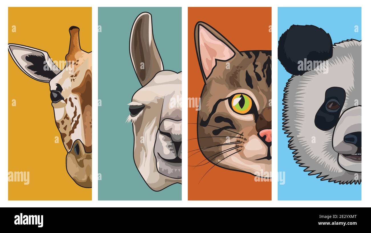 bundle of four animals domestics and wild set icons vector illustration ...