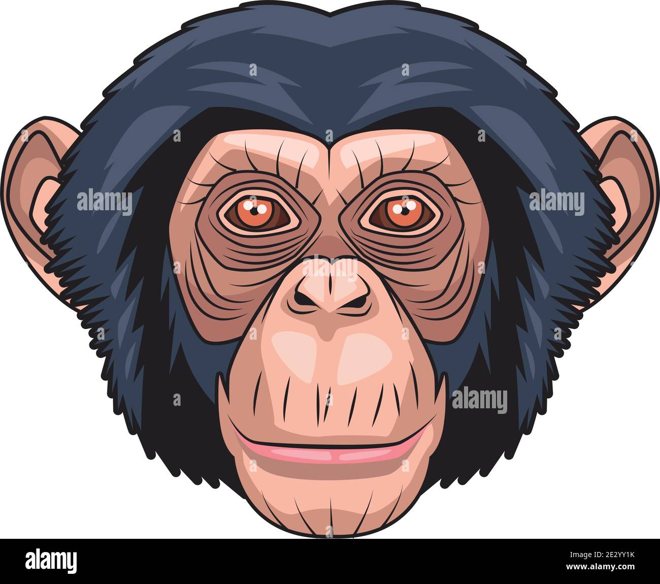 monkey animal wild head character in white background vector ...