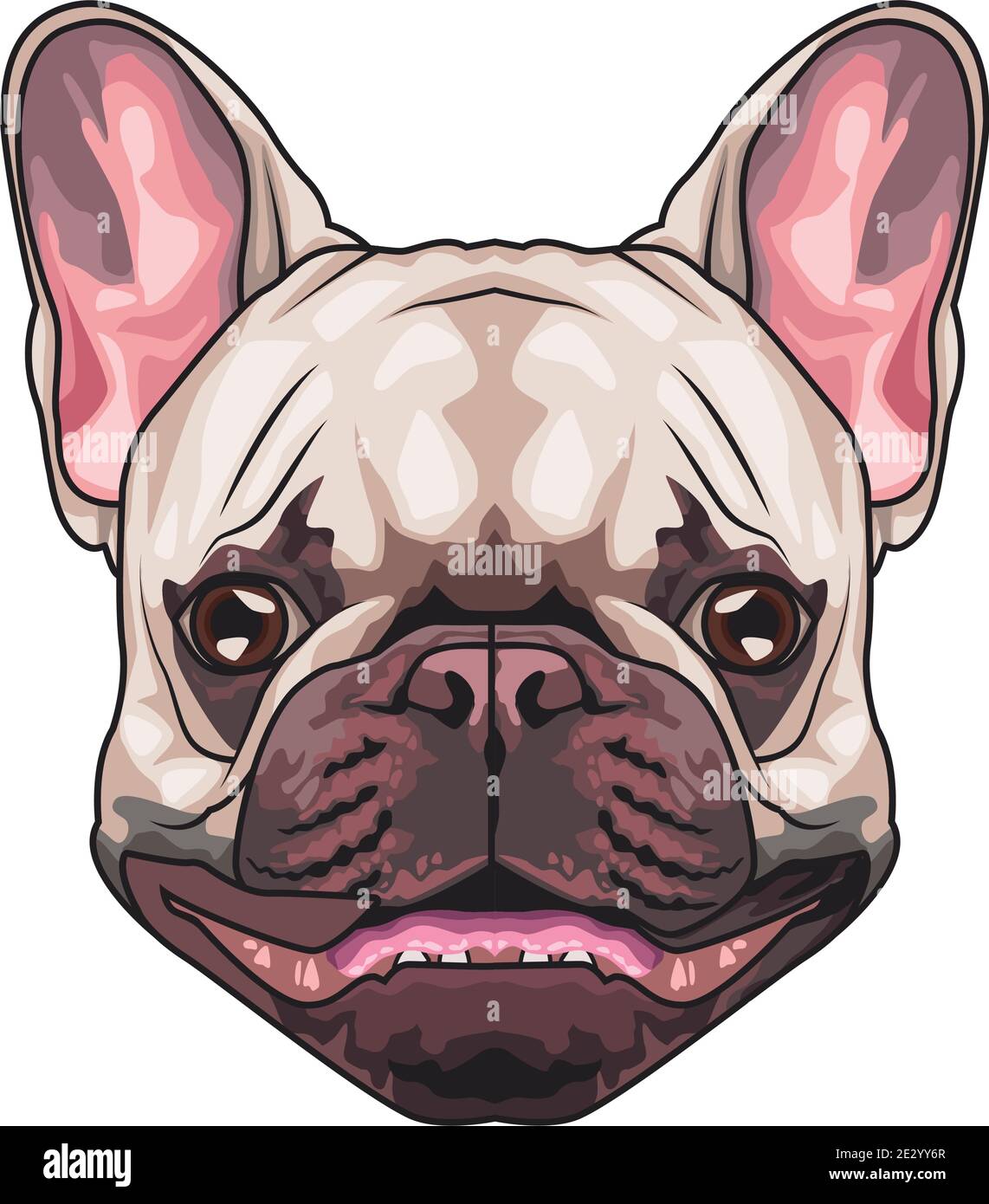 French Bulldog Face Vector