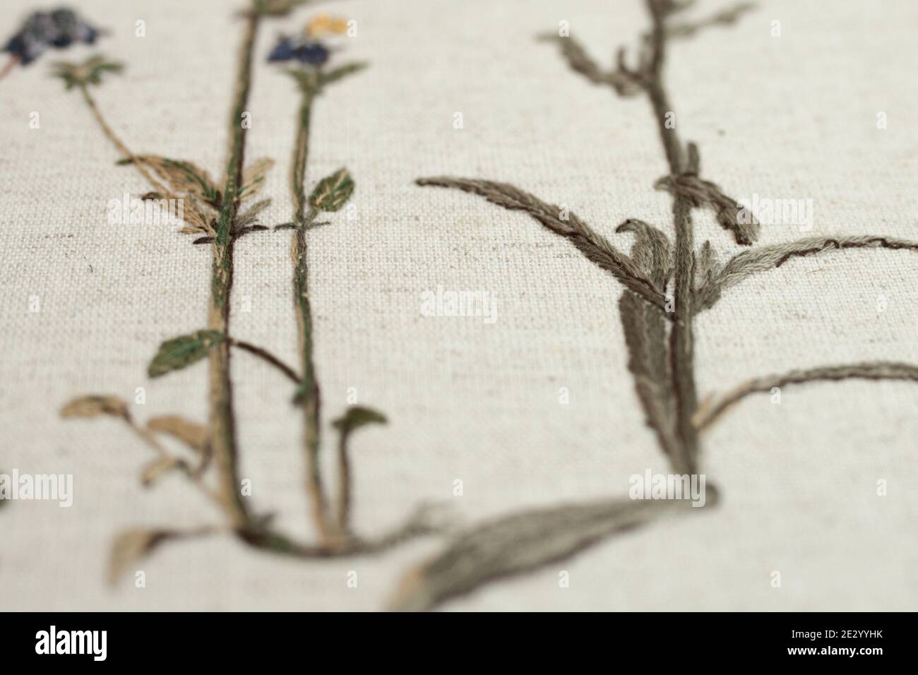 Couture embroidery of flowers. Still life by Durer with columbine ...