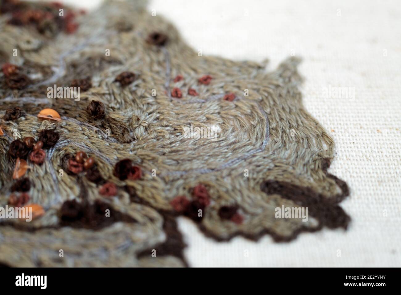 Couture embroidery of lichen with luneville hook chain stich and french ...
