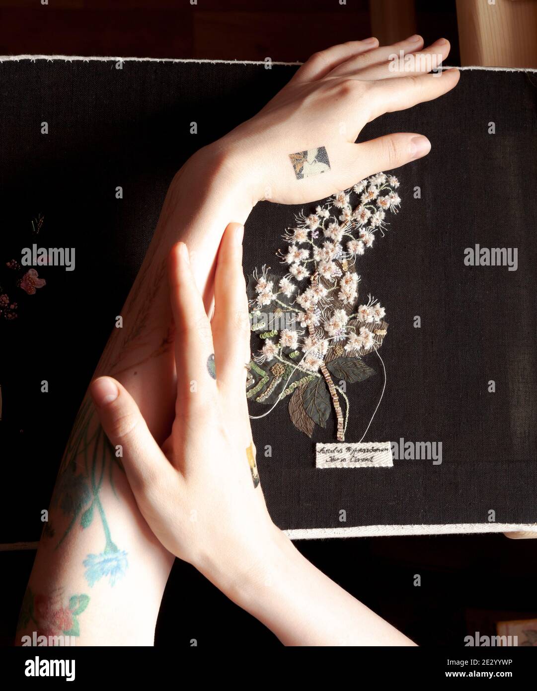 Embroiderer hi-res stock photography and images - Alamy