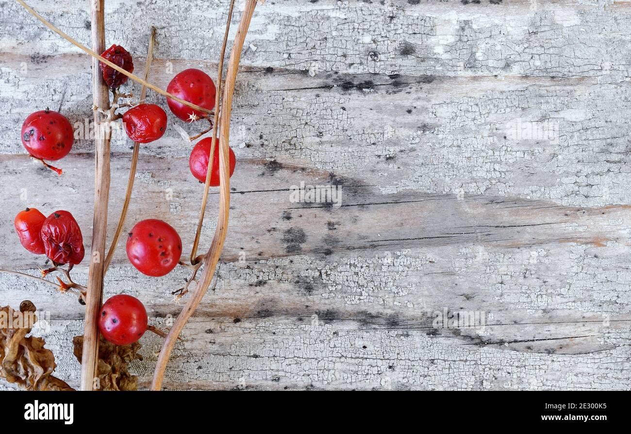 Autumn background with colorful fall leaves on rustic wooden table with ...