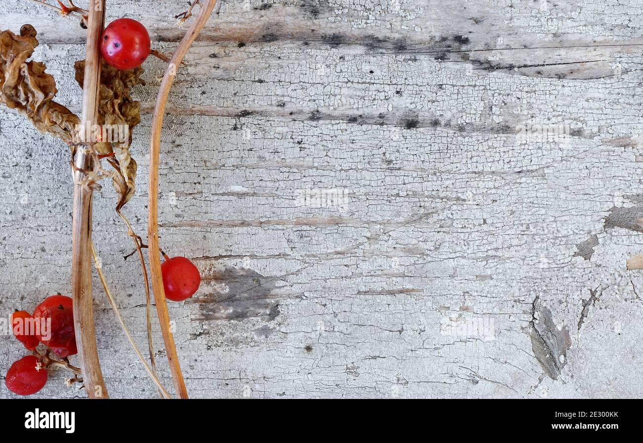 Autumn background with colorful fall leaves on rustic wooden table with ...