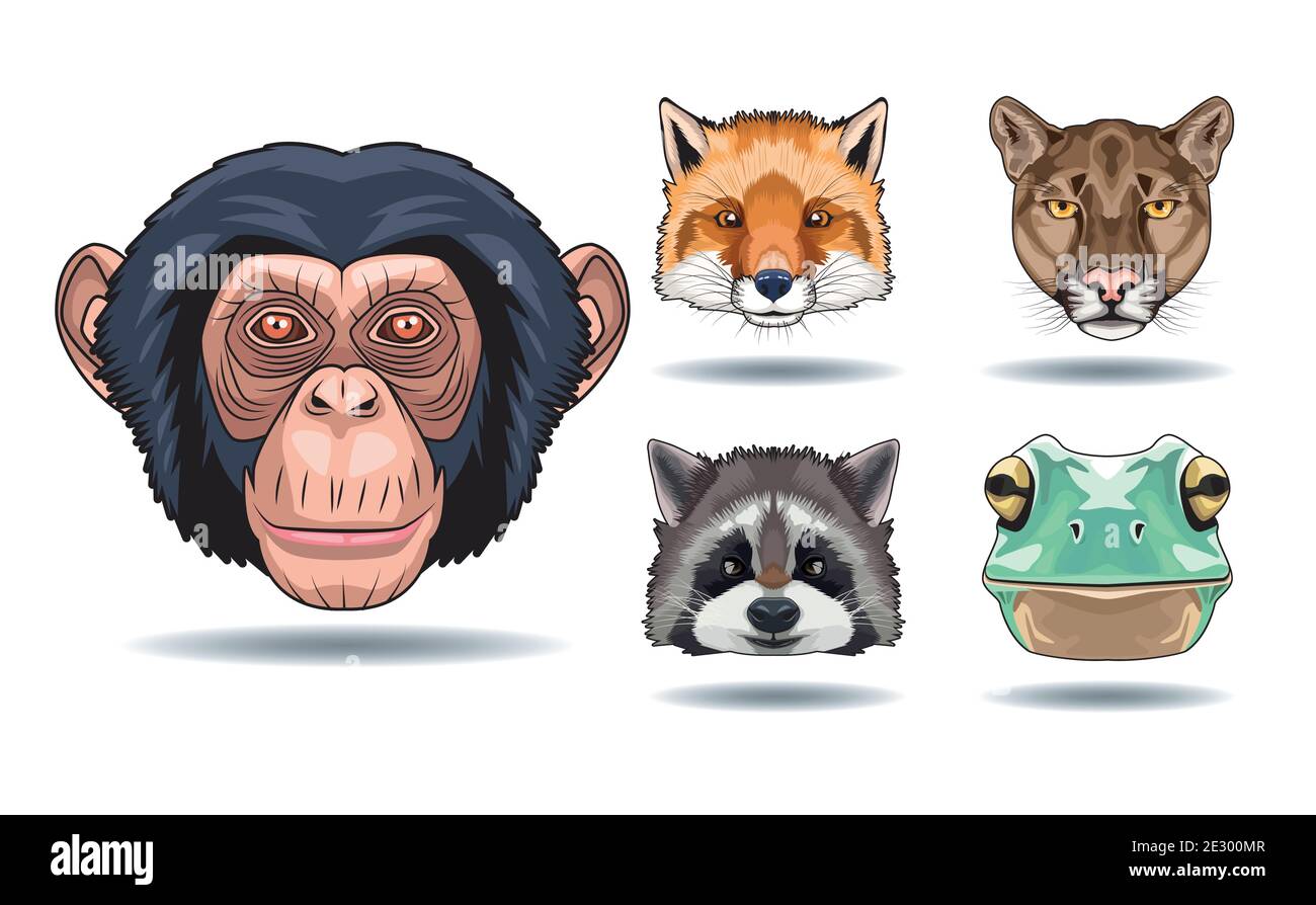 Five 5 animals Stock Vector Images - Alamy