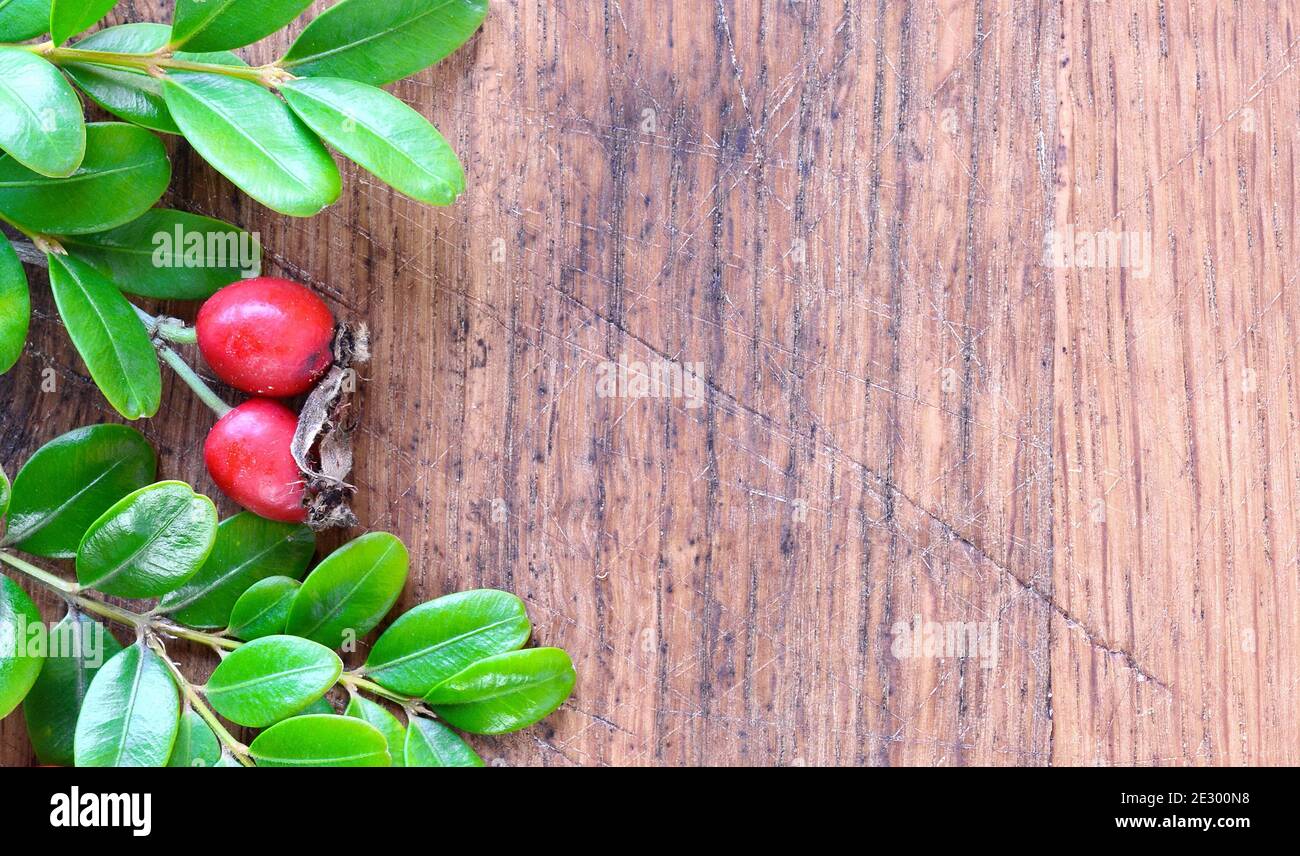 Autumn background with colorful fall leaves on rustic wooden table with ...