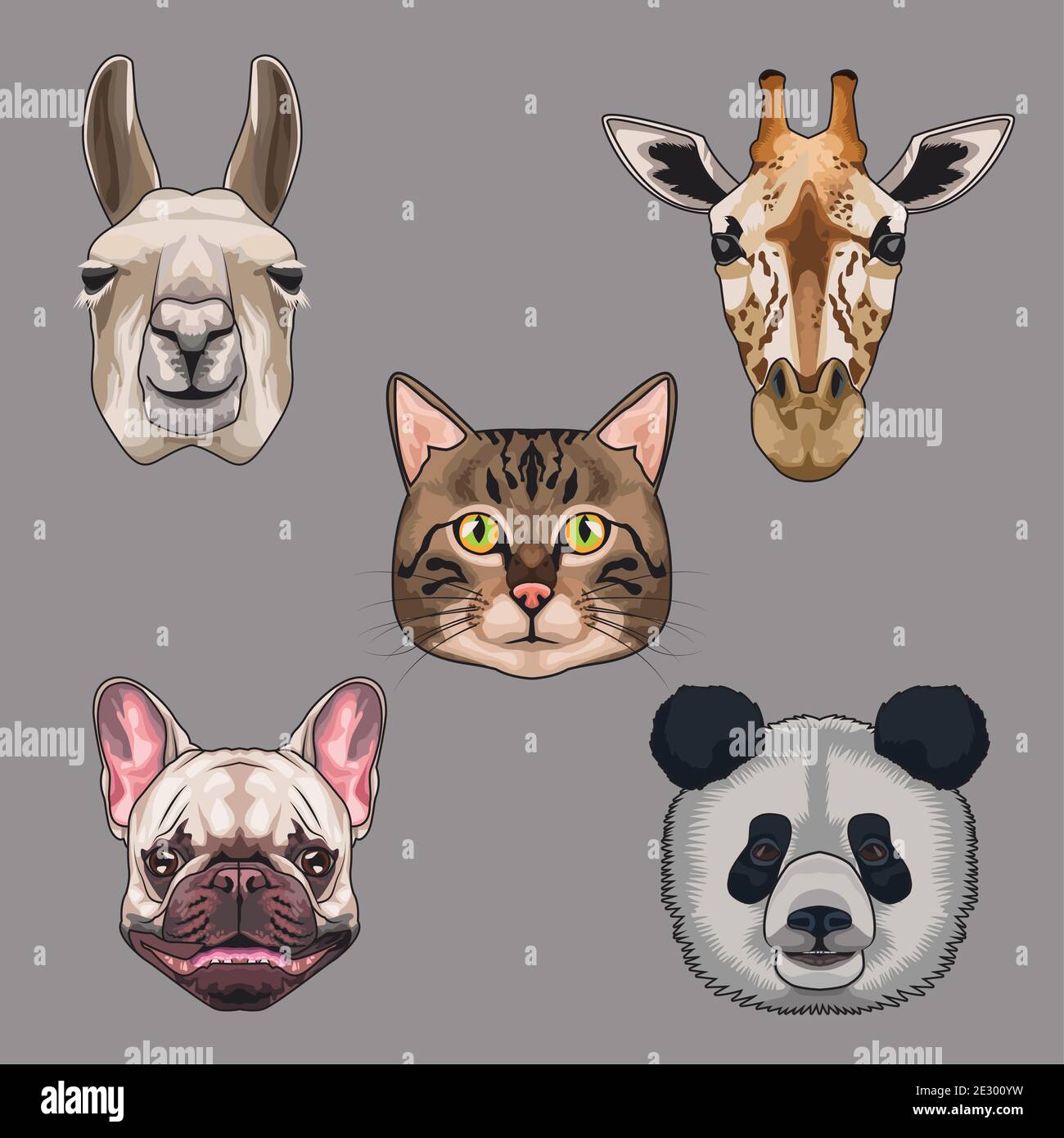 bundle of five animals domestics and wild set icons vector illustration ...