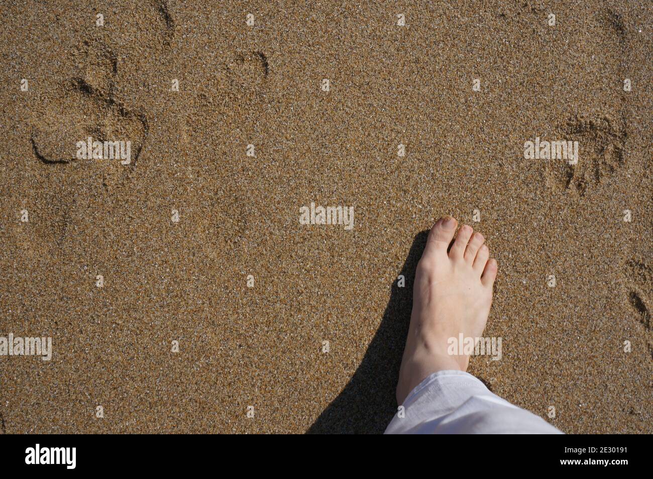 Top view shot of a human feet walking on a sandy Stock Photo - Alamy