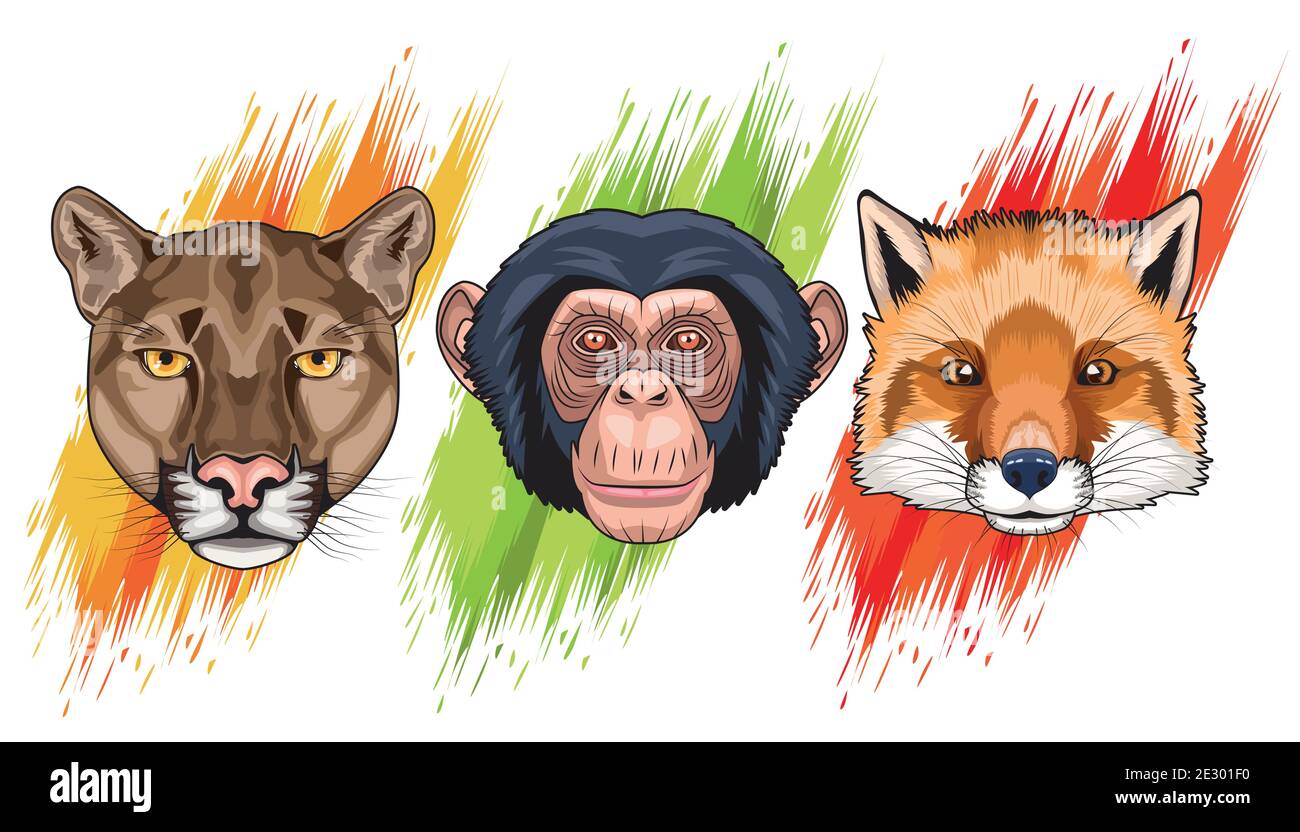 bundle of three animals heads characters vector illustration design ...