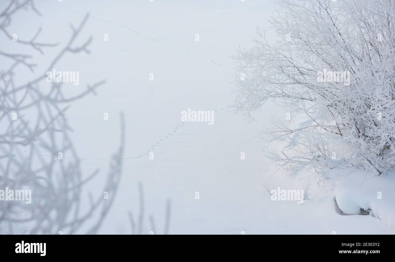 36 degrees hi-res stock photography and images - Alamy