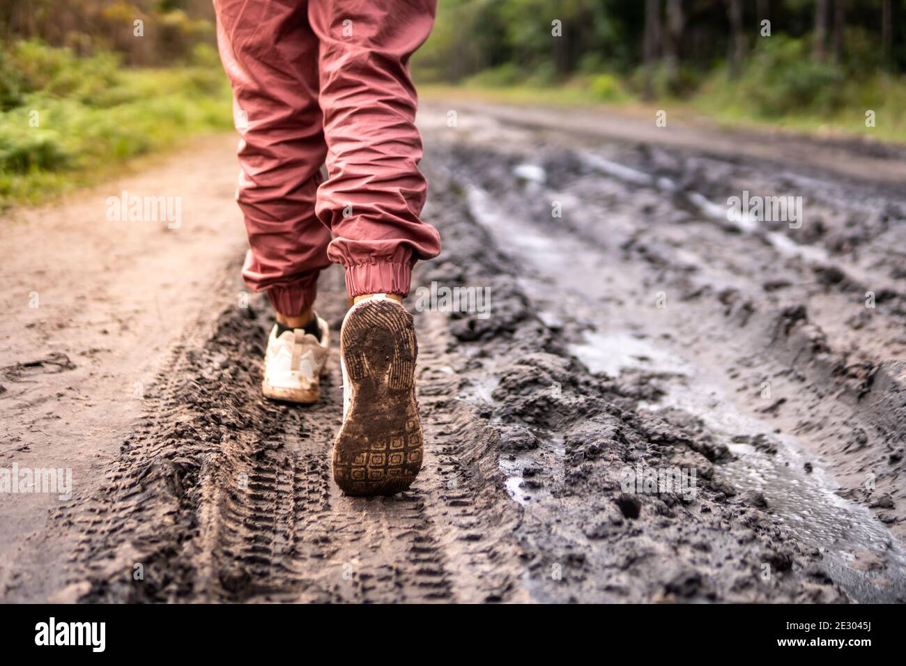 Close up of hiking hikers muddy on forest trail Stock Photo - Alamy