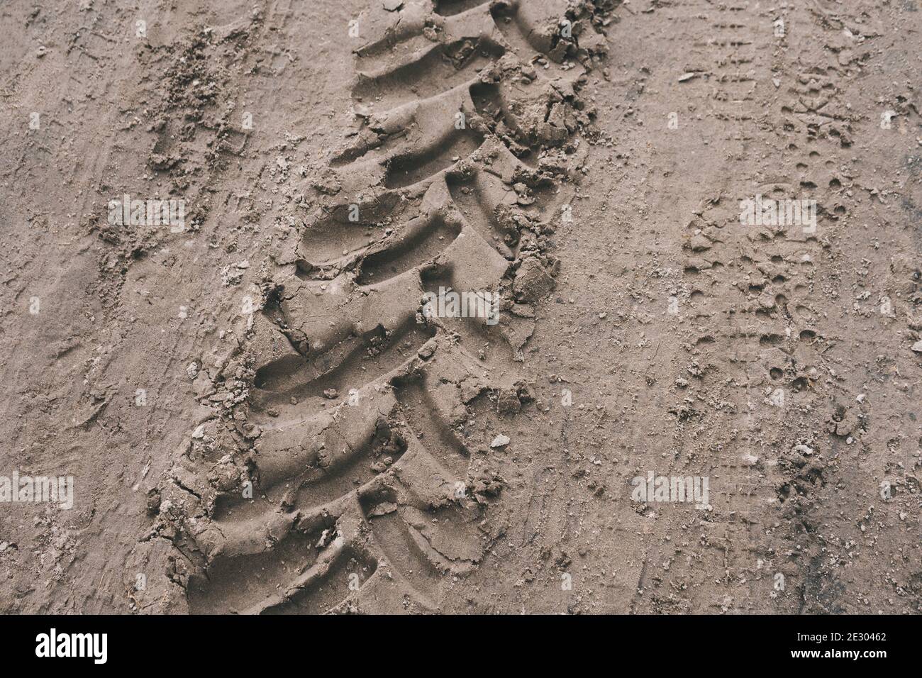 Wheel tracks of a tractor on the ground Stock Photo - Alamy