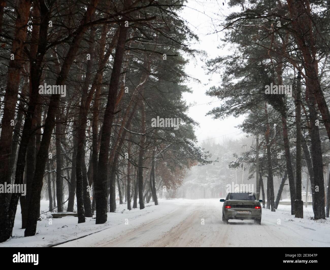 Car drives between trees on hi-res stock photography and images - Alamy