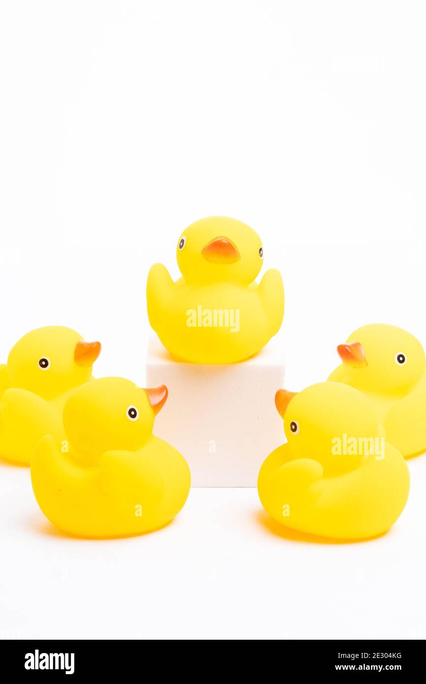 Leadership concept. A group of yellow rubber duck following the leader ...