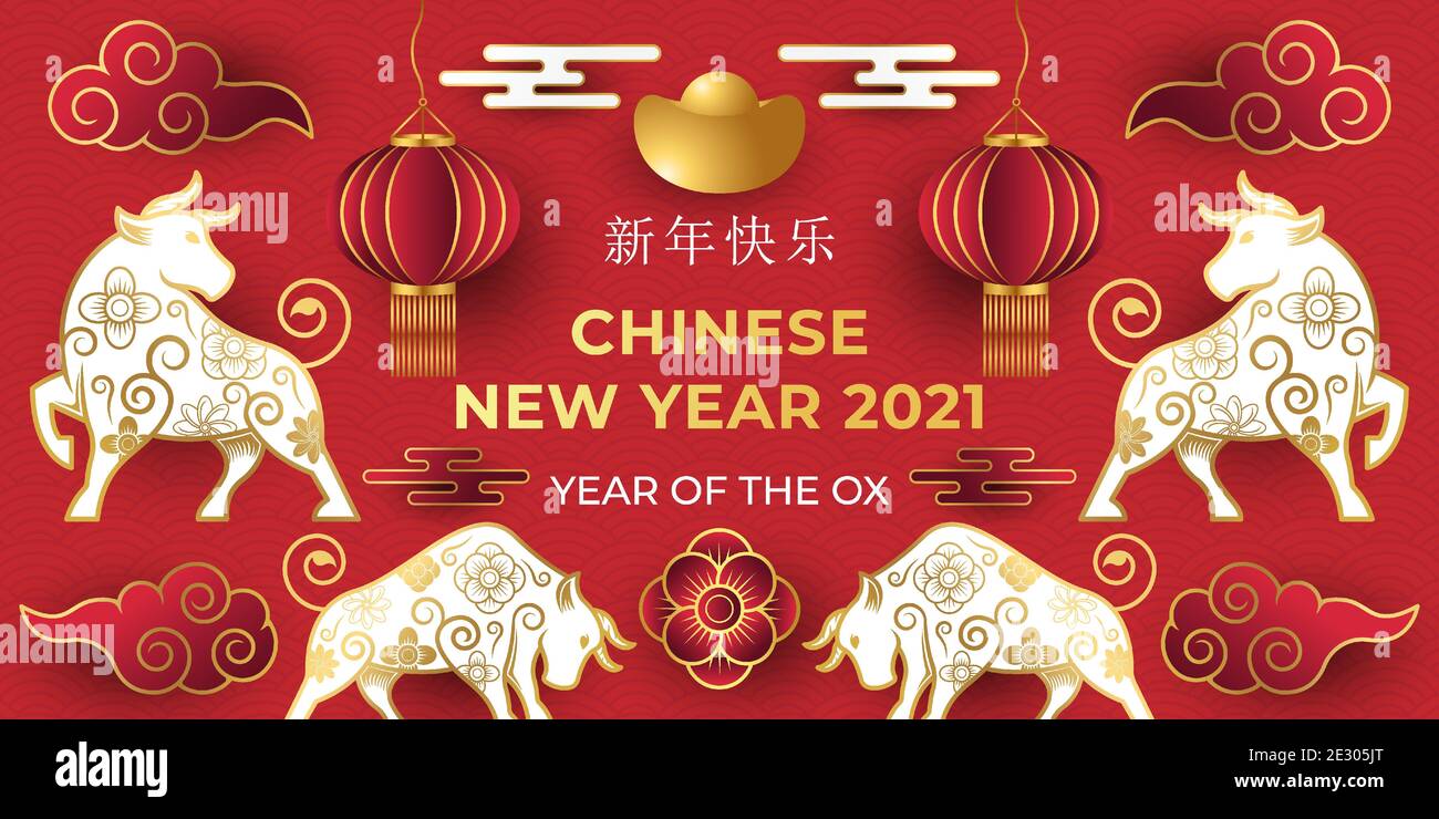 Chinese New Year 2021 Year of the Ox background vector illustration ...