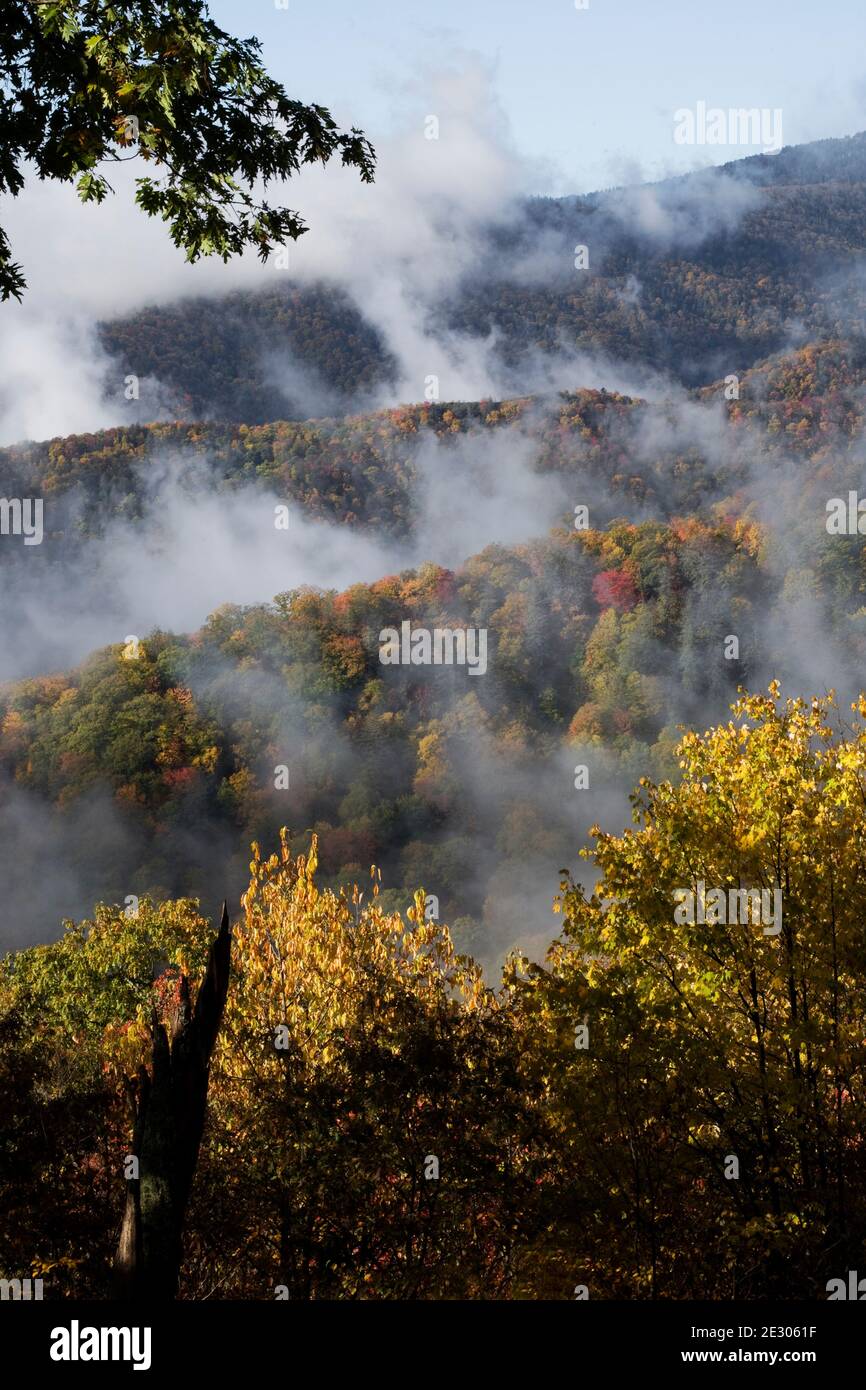 NC00190-00...NORTH CAROLINA - Fall color and rising fog viewed from ...